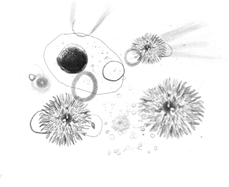 The Cannigma | Cannabis science, news and education