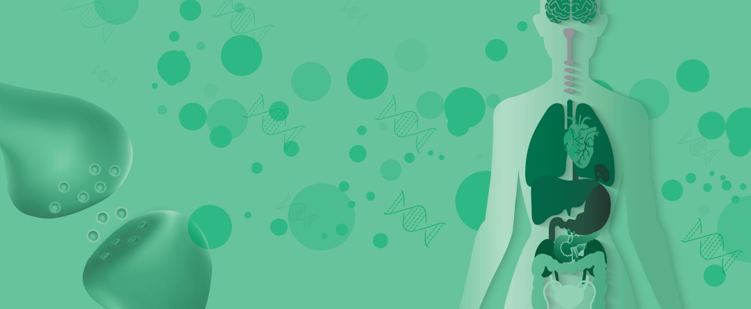 What is Clinical Endocannabinoid Deficiency | The Cannigma