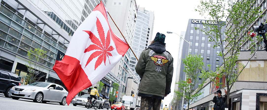 Canada's Medical Cannabis Program: Lessons Learned | The Cannigma