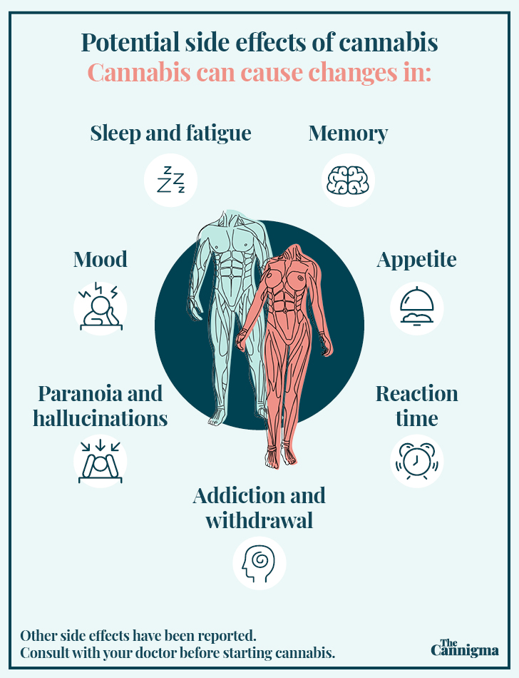 Cannabis for Concussion and Brain Trauma | The Cannigma