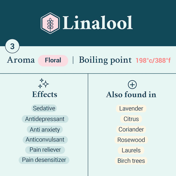 Linalool: What Is It and What Does It Do? | Terpenes | The Cannigma