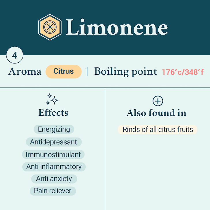 Limonene: What Is It and What Are Its Benefits? | Terpenes
