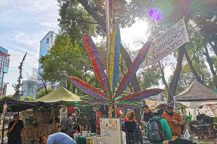 Mexico and Marijuana: What is the legal status of weed?