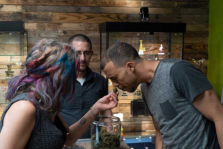 Ask Yourself This Before Going to the Dispensary | The Cannigma