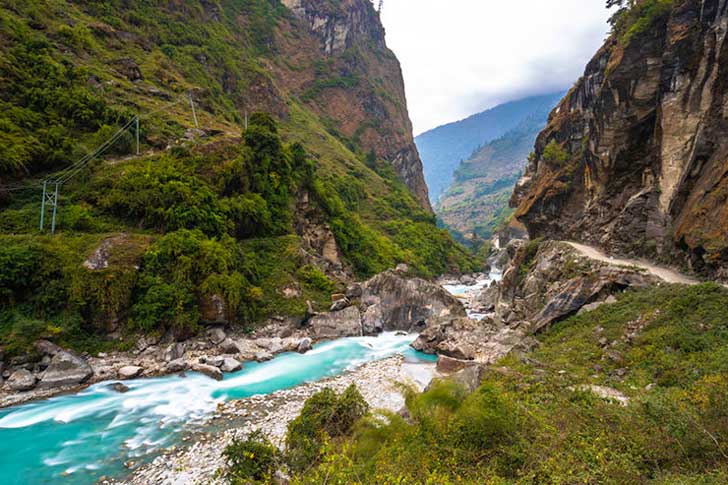 ¿Qué es el Cannabis Kush? La Guía Completa | Cannigma ES