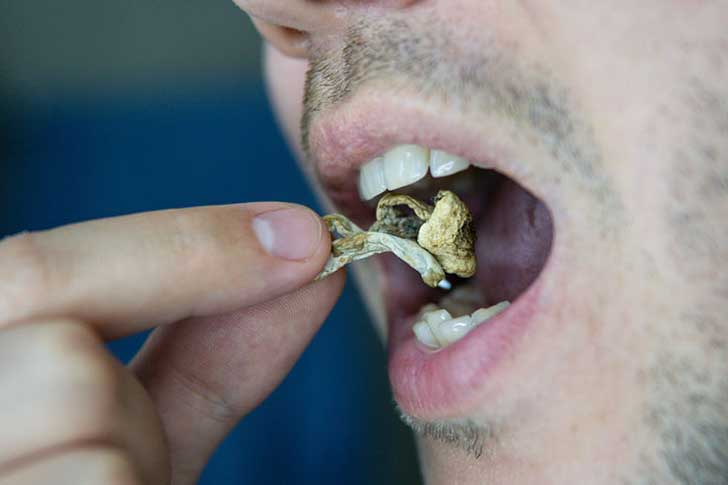 How Does Cannabis Interact With Psychedelics?