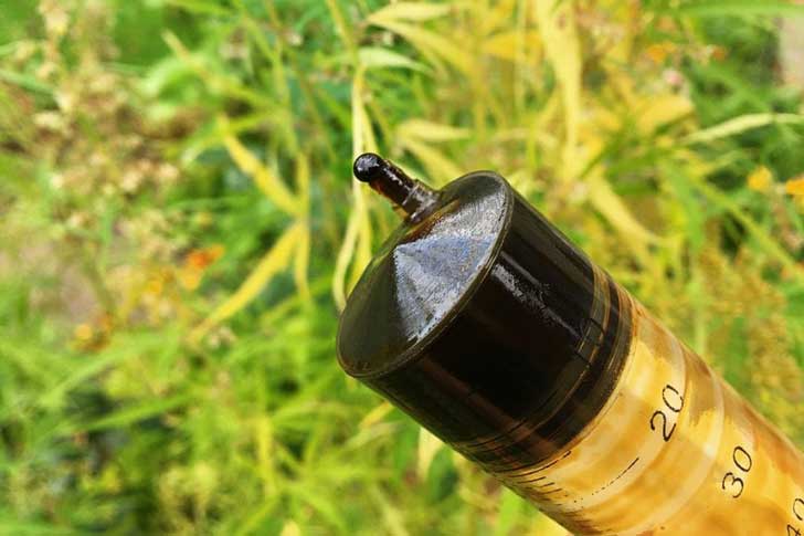 What are the Different Types of Cannabis Oil? | The Cannigma