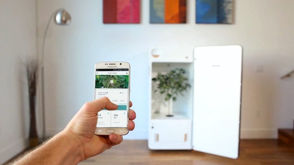 These Are the Coolest Weed Gadgets in 2026 | The Cannigma