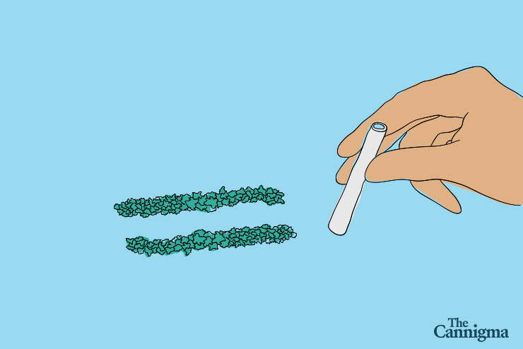 Can You Really Snort Weed, and Is It a Good Idea?