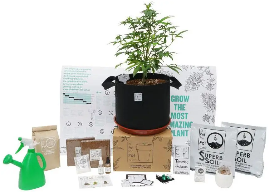 The 8 best cannabis grow boxes in 2025 | The Cannigma