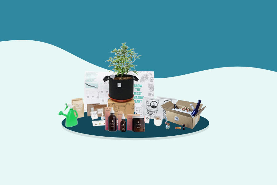 Weed Scales: The Most Accurate Way to Weigh Cannabis | The Cannigma