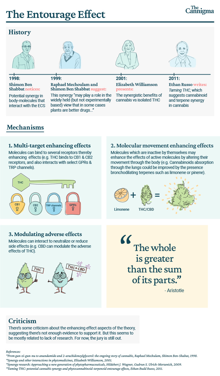 Cannabinoids 101: A List of Cannabinoids and Their Effects