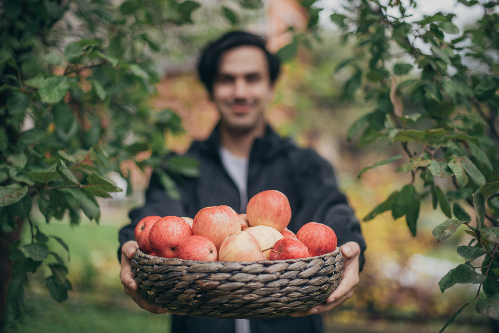 5 tricks for smoking weed without papers or a pipe | The Cannigma