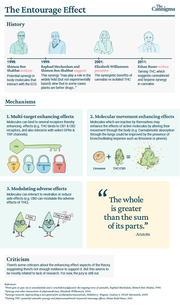 The Entourage Effect: What Is the Entourage Effect? | The Cannigma