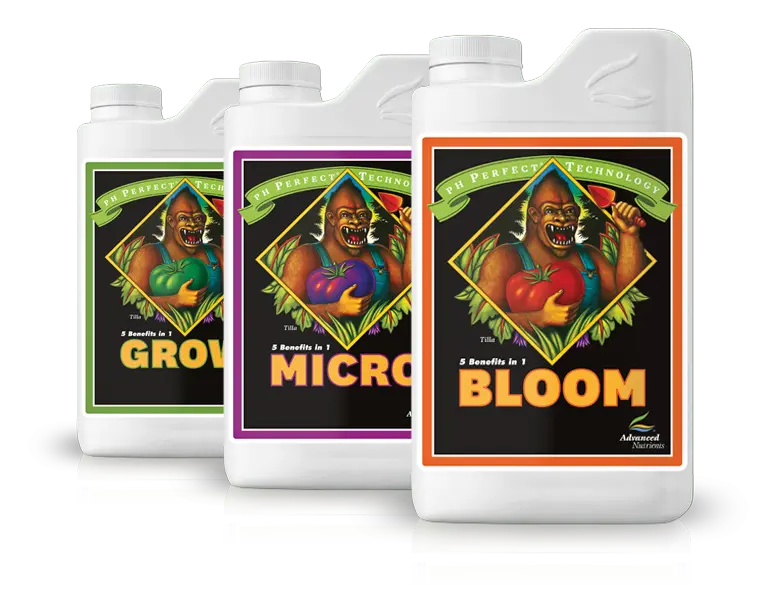 The Best Fertilizers and Nutrients for Growing Marijuana