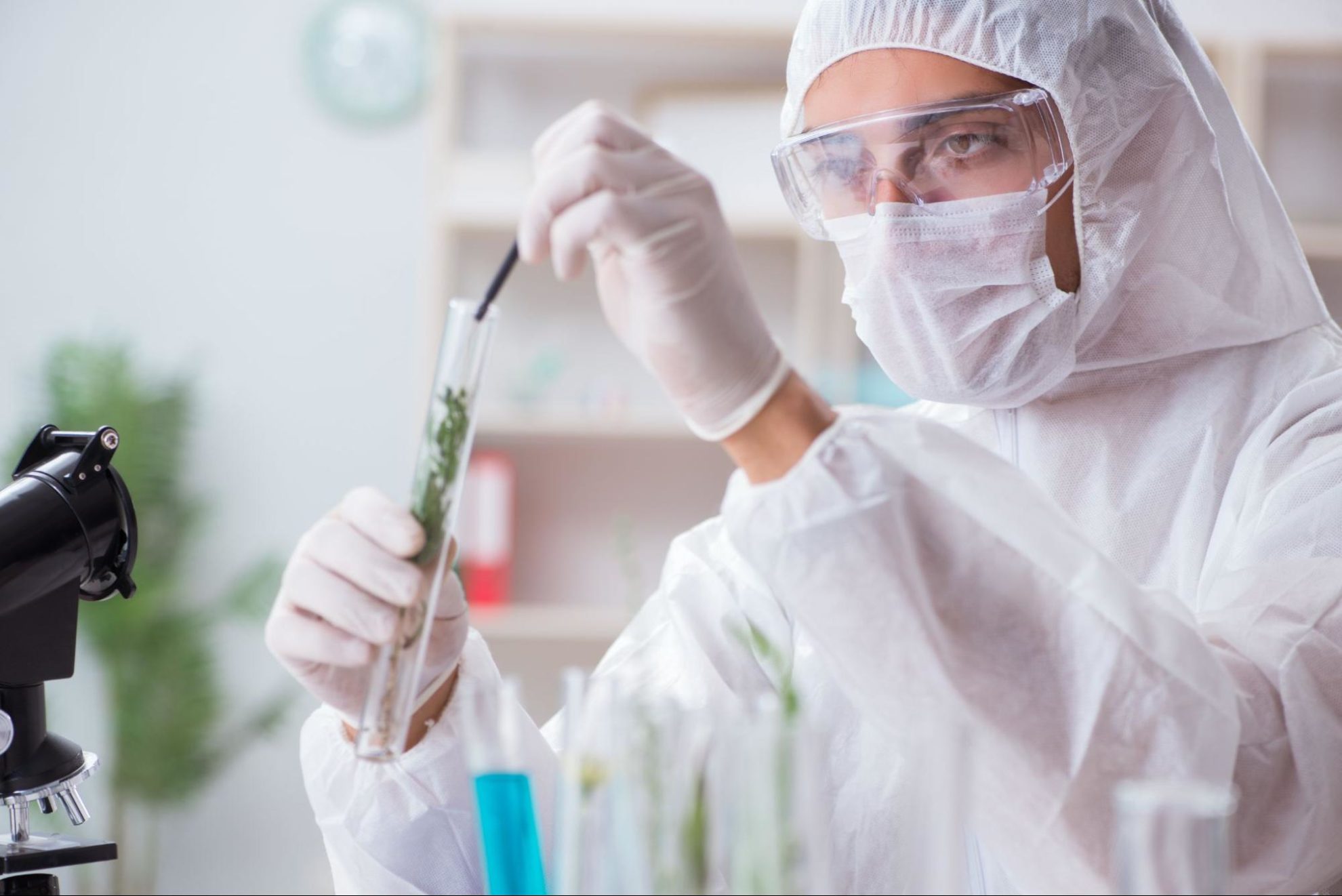 What is THC? Here's everything you need to know | The Cannigma