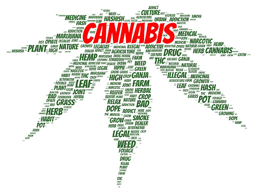 Weed Slang - The most popular nicknames for Marijuana