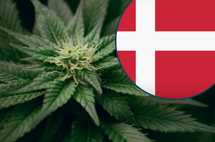 Is Weed Legal in Denmark? 2026 Marijuana Laws | The Cannigma