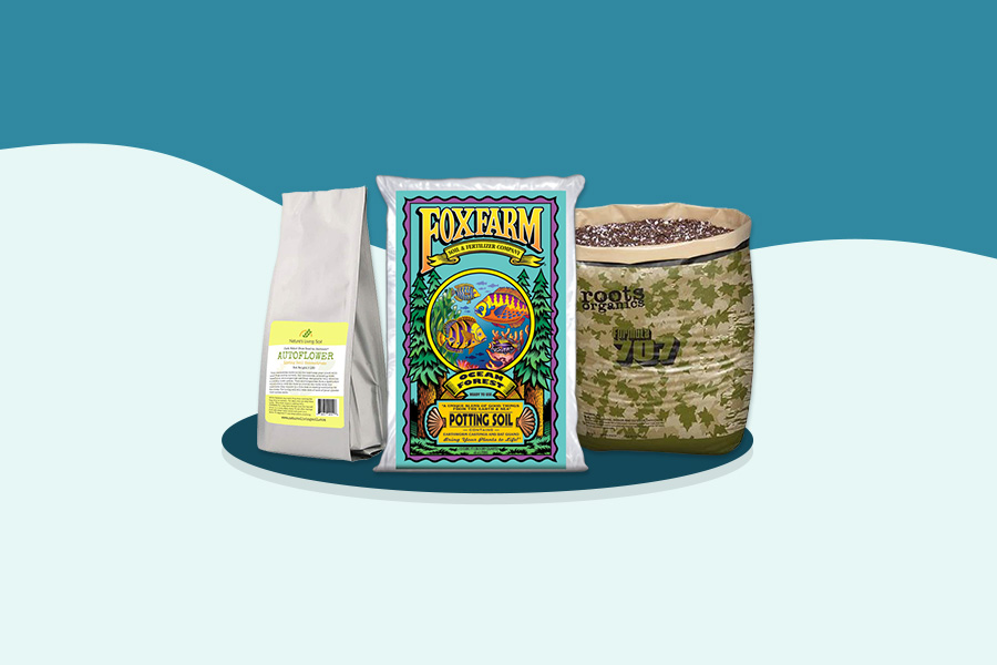 What Is a Kief Box and What Are the Best Kief Boxes in 2025?