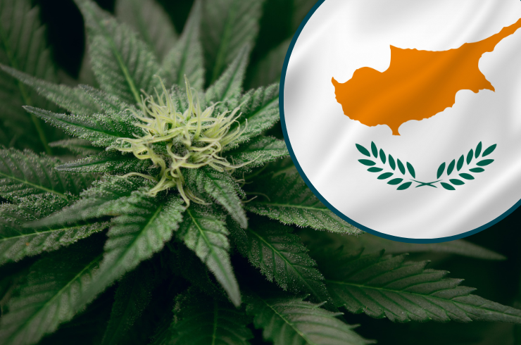 Cannabis laws in Cyprus | The Cannigma