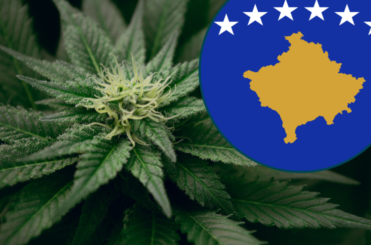 Cannabis laws in Kosovo | The Cannigma
