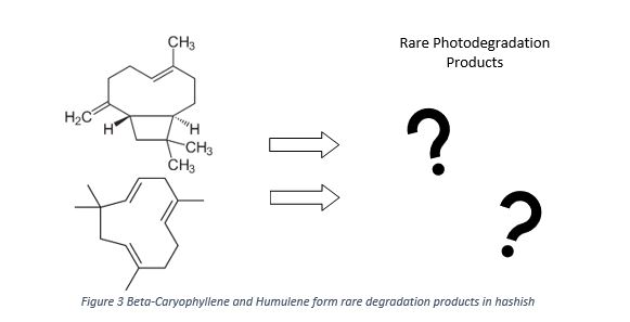 What is hashishene? Examining the unique chemistry of hashish | The ...