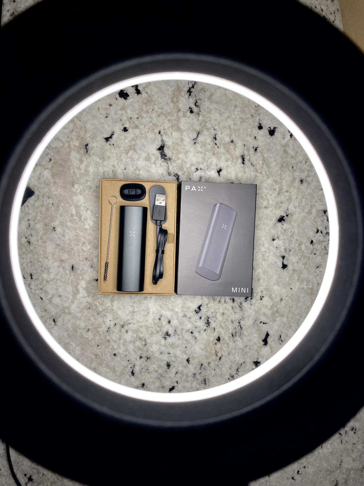 Vape on the Go: PAX Mini Review | The Cannigma