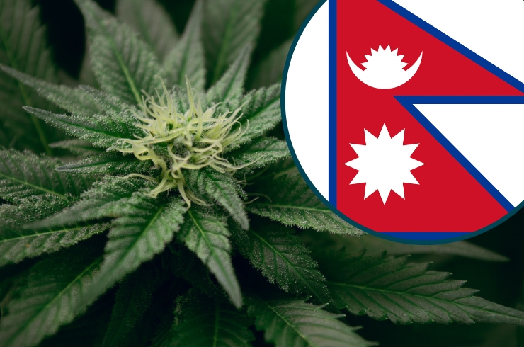 Is Weed Legal in Nepal? | The Cannigma