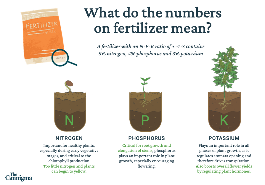 9 environmental factors of cannabis growth and development | The Cannigma
