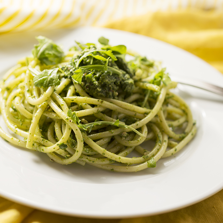 The Cannigma: Fact-based cannabis info for everyone