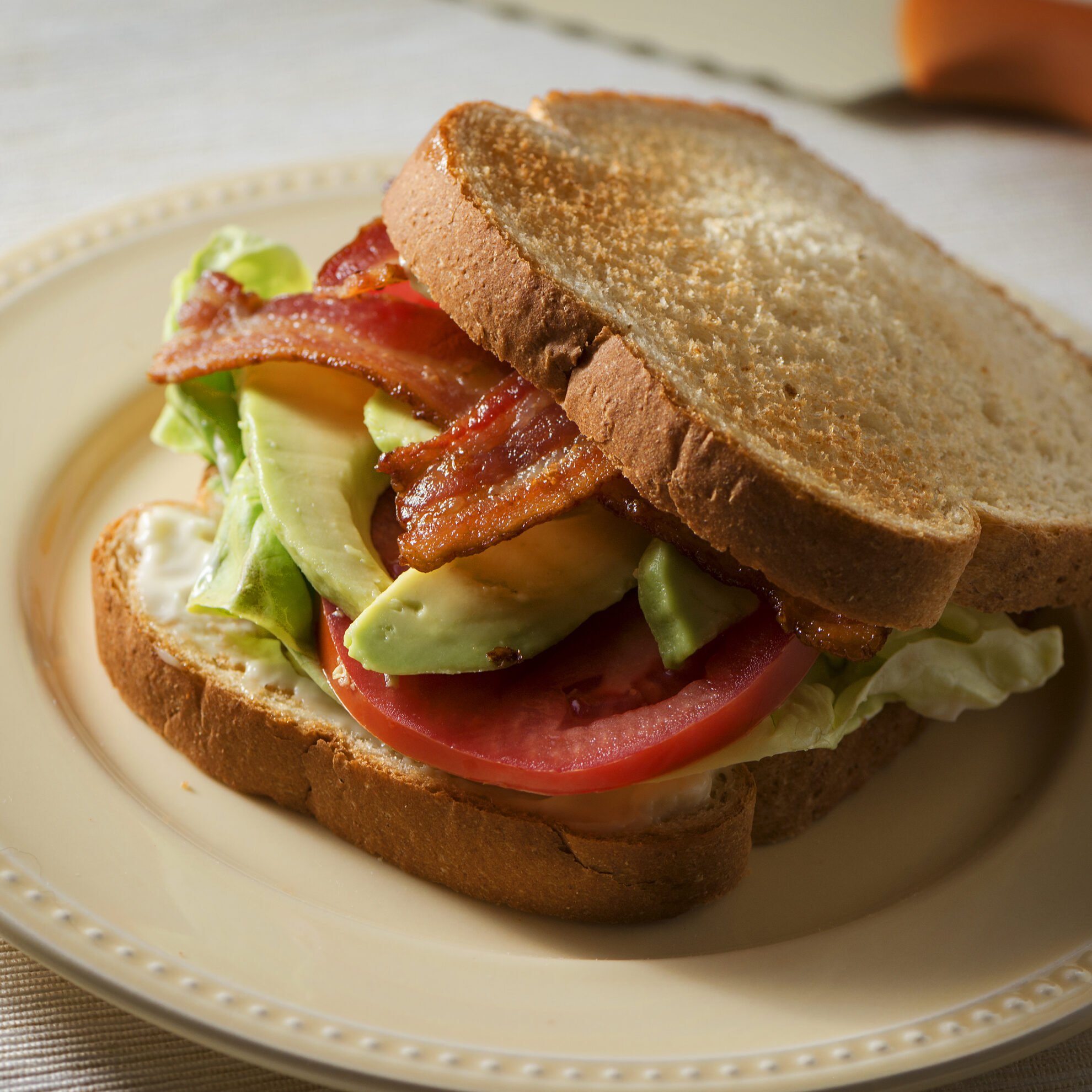 The Cannigma: Fact-based cannabis info for everyone