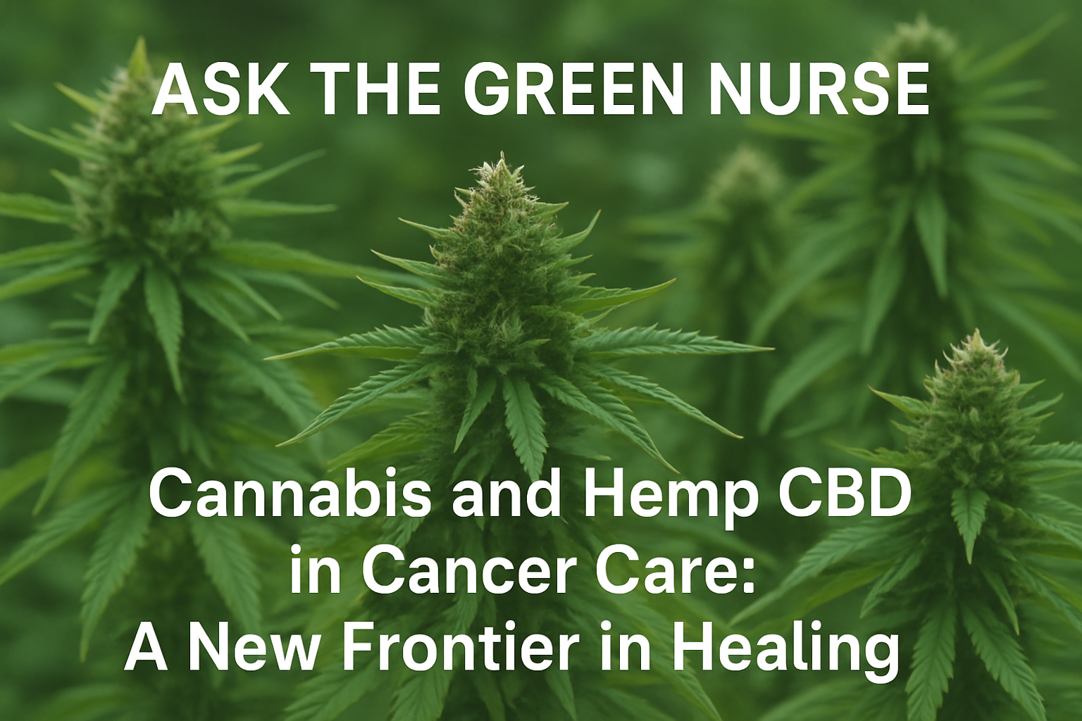 Cannabis and Hemp CBD in Cancer Care: A New Frontier in Healing | The ...