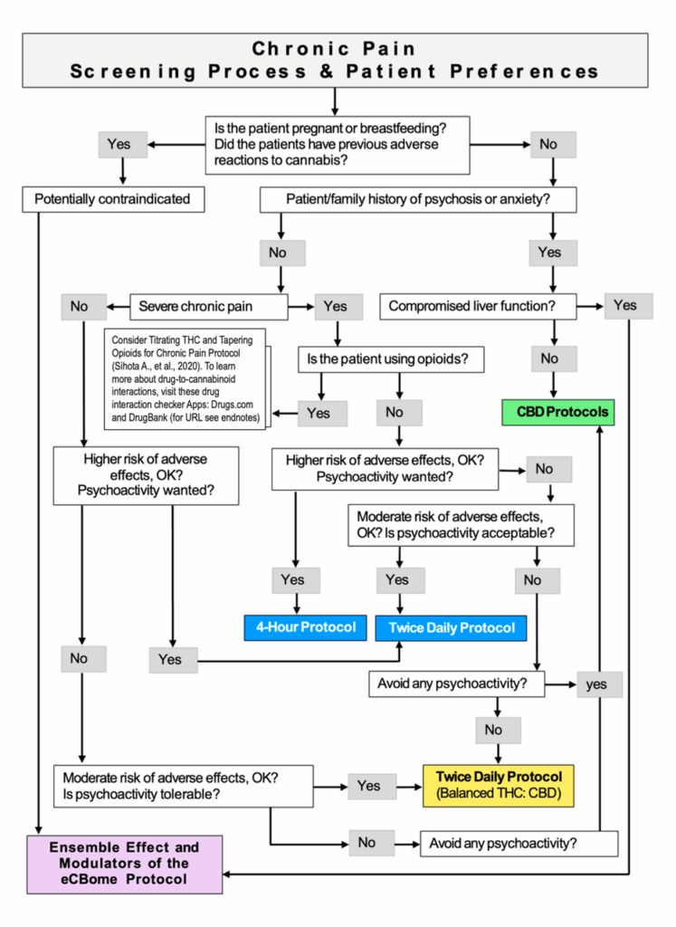 Cannabis for Chronic Pain Relief: A New Clinical Framework | The Cannigma