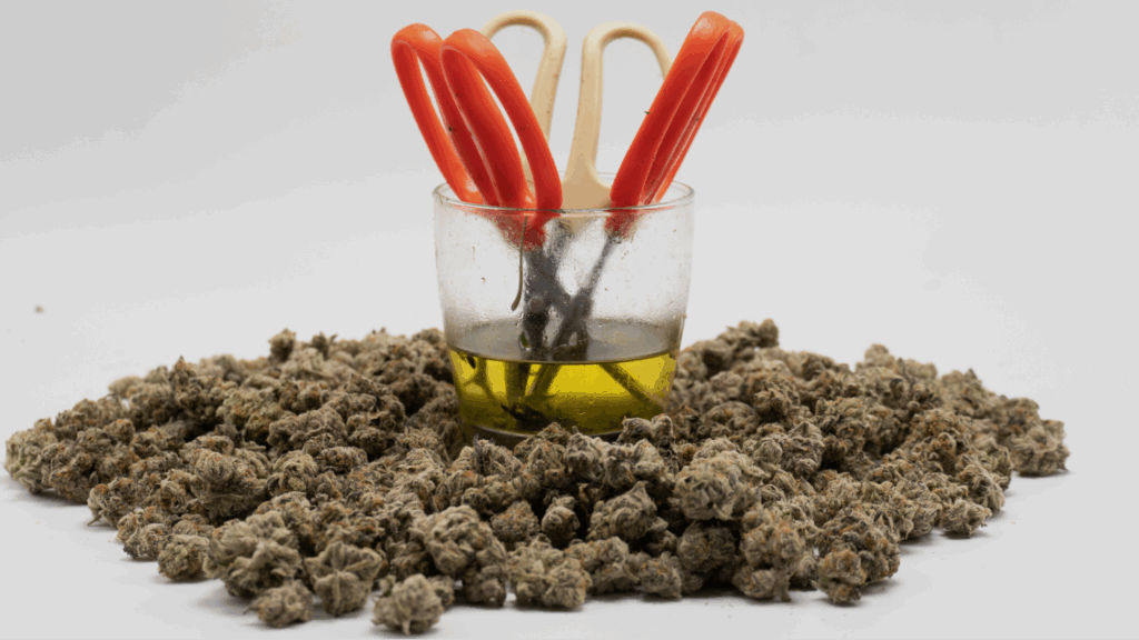 Best THCA Flower Online: Top Thca Brands for High Quality Flower
